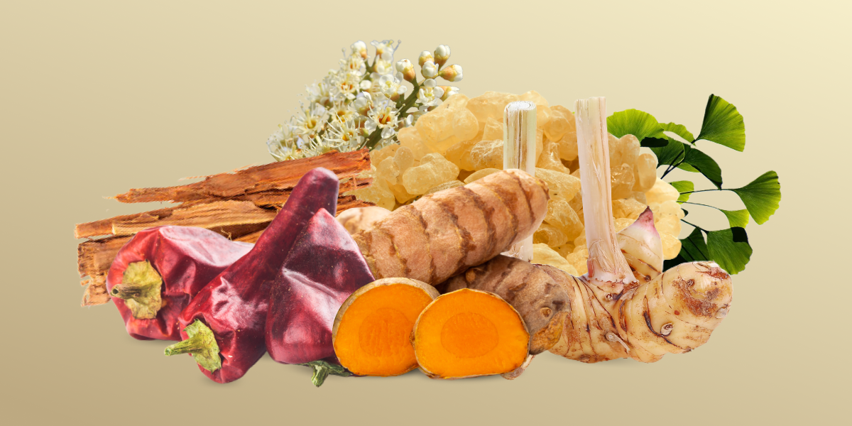 7 Herbs That Nourish Happy Healthy Joint, Tendon, and Connective Tissu ...