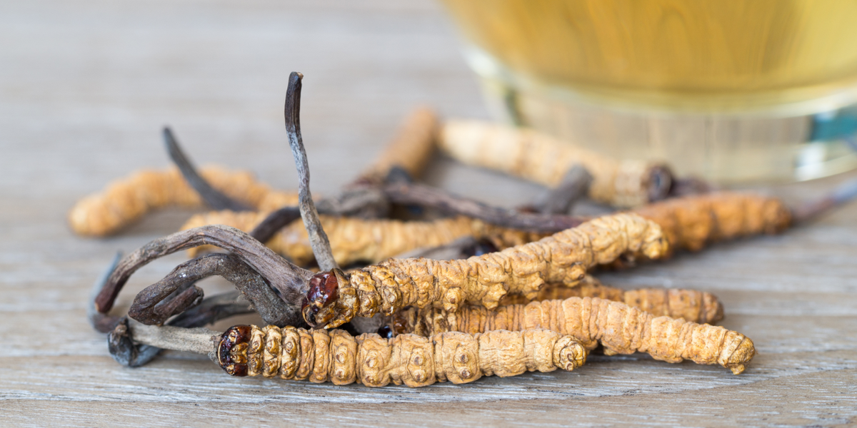 9 Phenomenal Benefits of Cordyceps [Everything You Need to Know ...