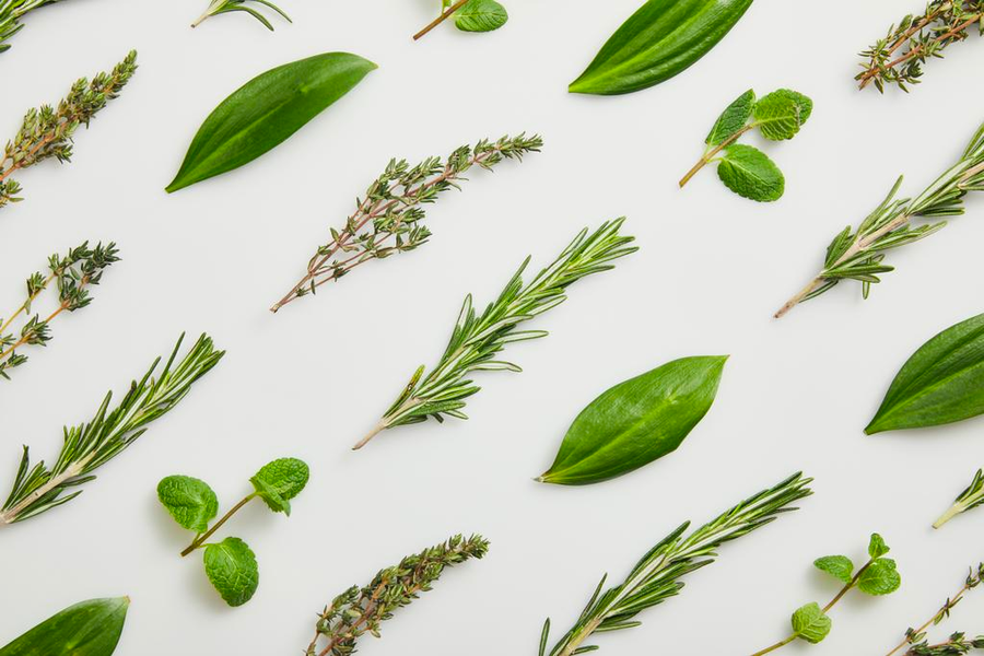 Best Herbs to Fight Cancer — Solstice Medicine